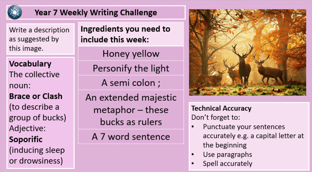 On our Weekly Writing Challenges 2017-18 – The Learning Profession